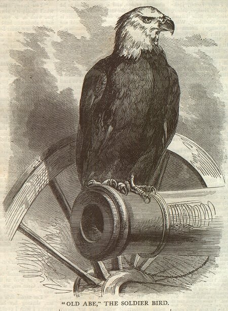 Little Corporal: The Veteran Eagle, by Alfred L. Sewell (1866)
