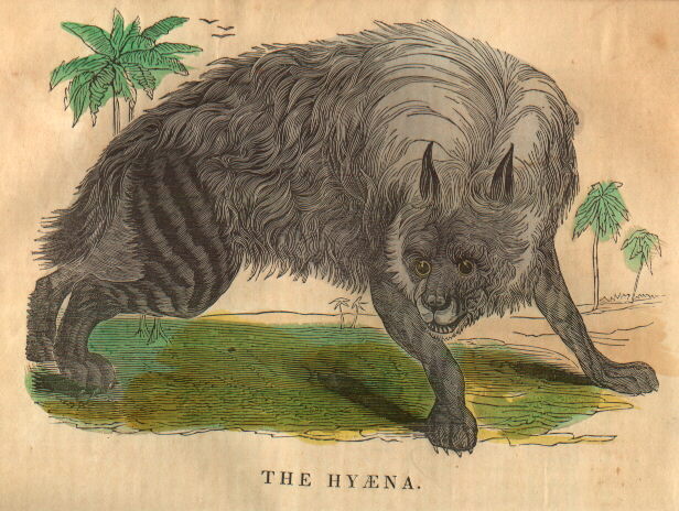 St. Nicholas: "'Uncle' Peter Parley,” William Oliver Stevens